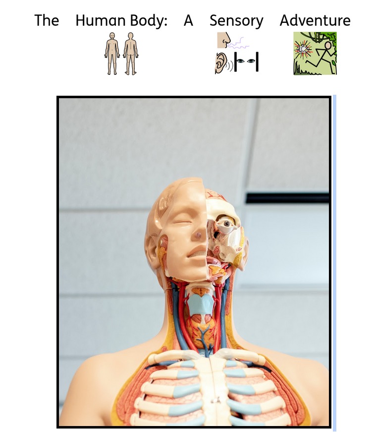 Sensory Story: Human Body - Special Education and Inclusive Learning