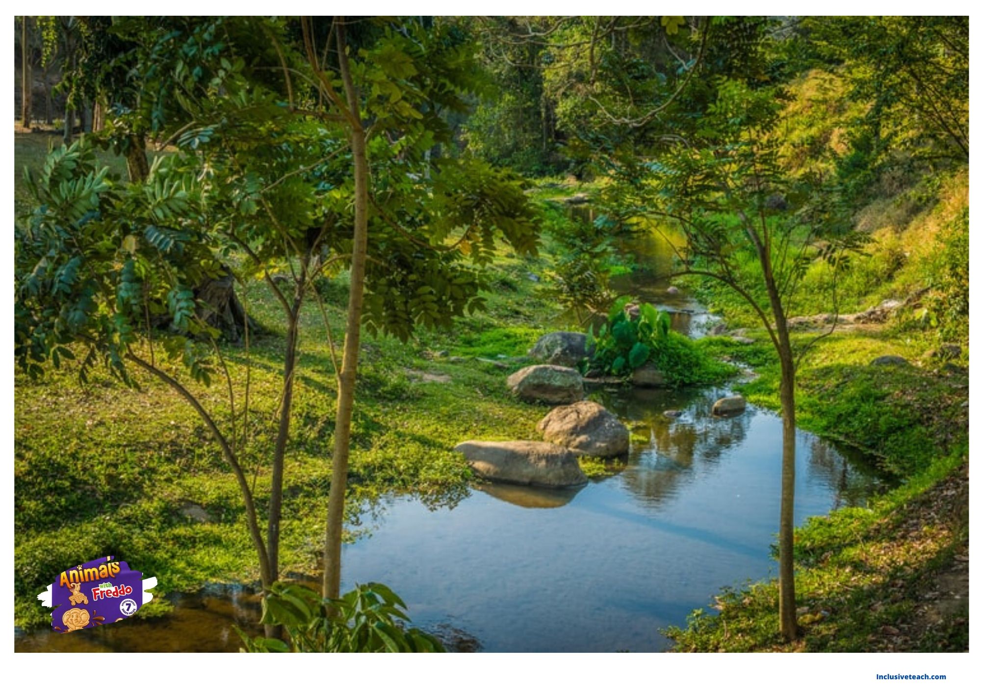 Snack Time: Communication & Interaction – Special Education and ...