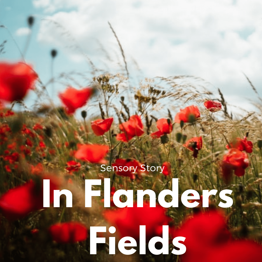 In Flanders Fields Sensory Story for PMLD, SLD pupils