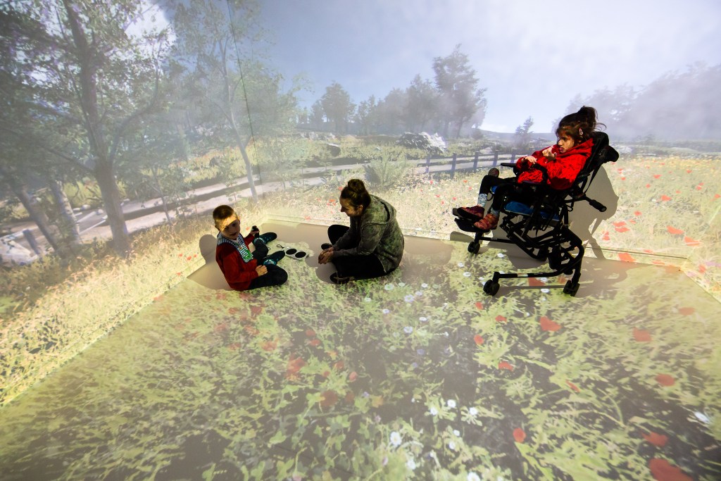 Immersive Reality: Storytelling, Collaboration & Multi-Sensory Learning